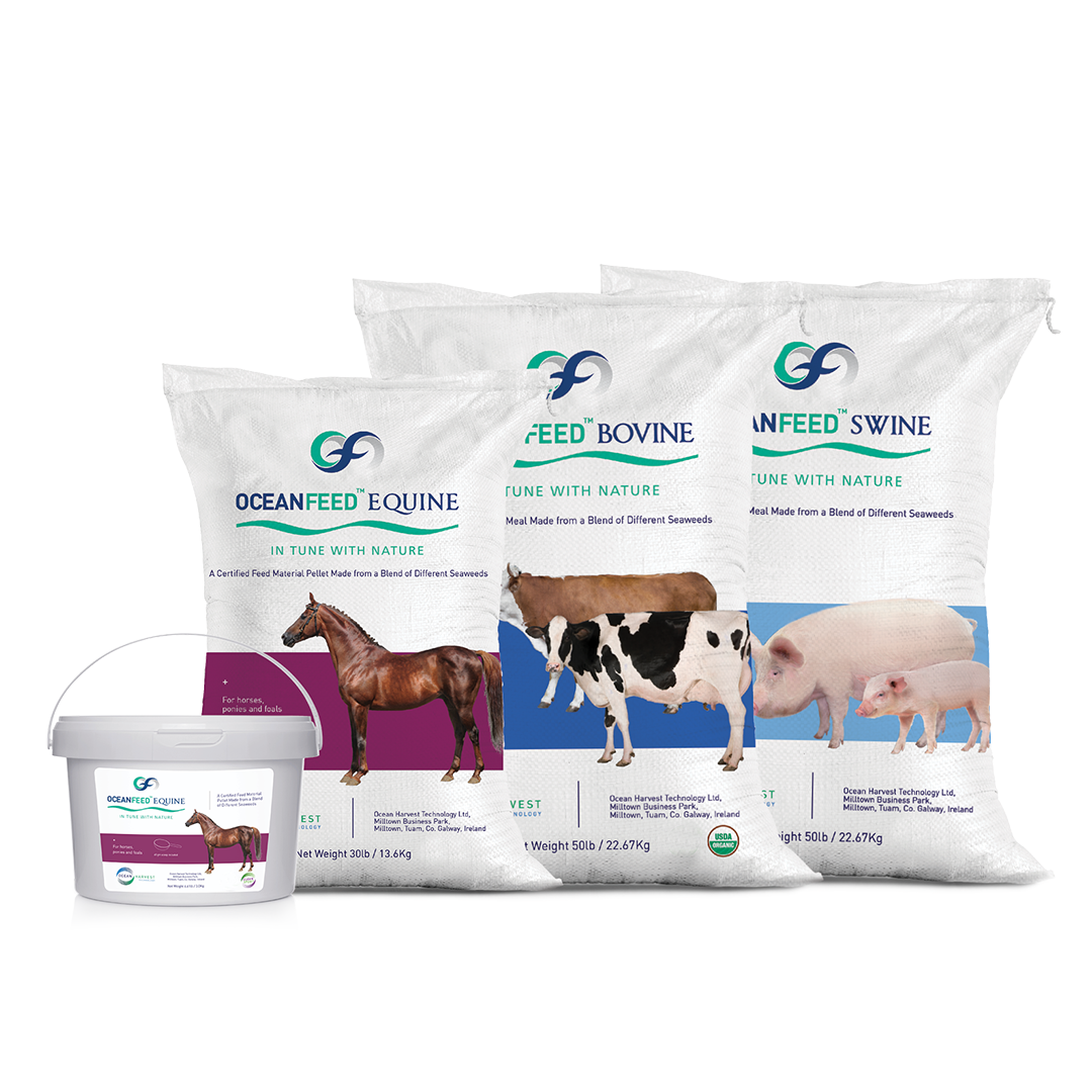 Livestock Supplements | Lozana Santé